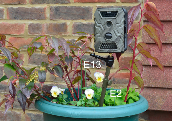 Wildlife Watching Supplies - Kevin Keatley - E2 Small ground spike